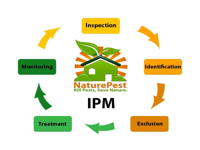 IPM Integrated Pest Management Process | NaturePest IPM Integrated Pest Management Process | NaturePest